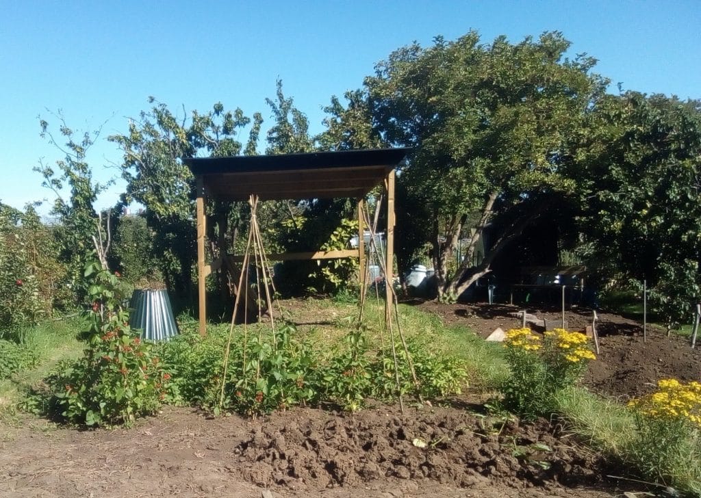 Community Rehabilitation | Mental Health Services | Second Step Bristol