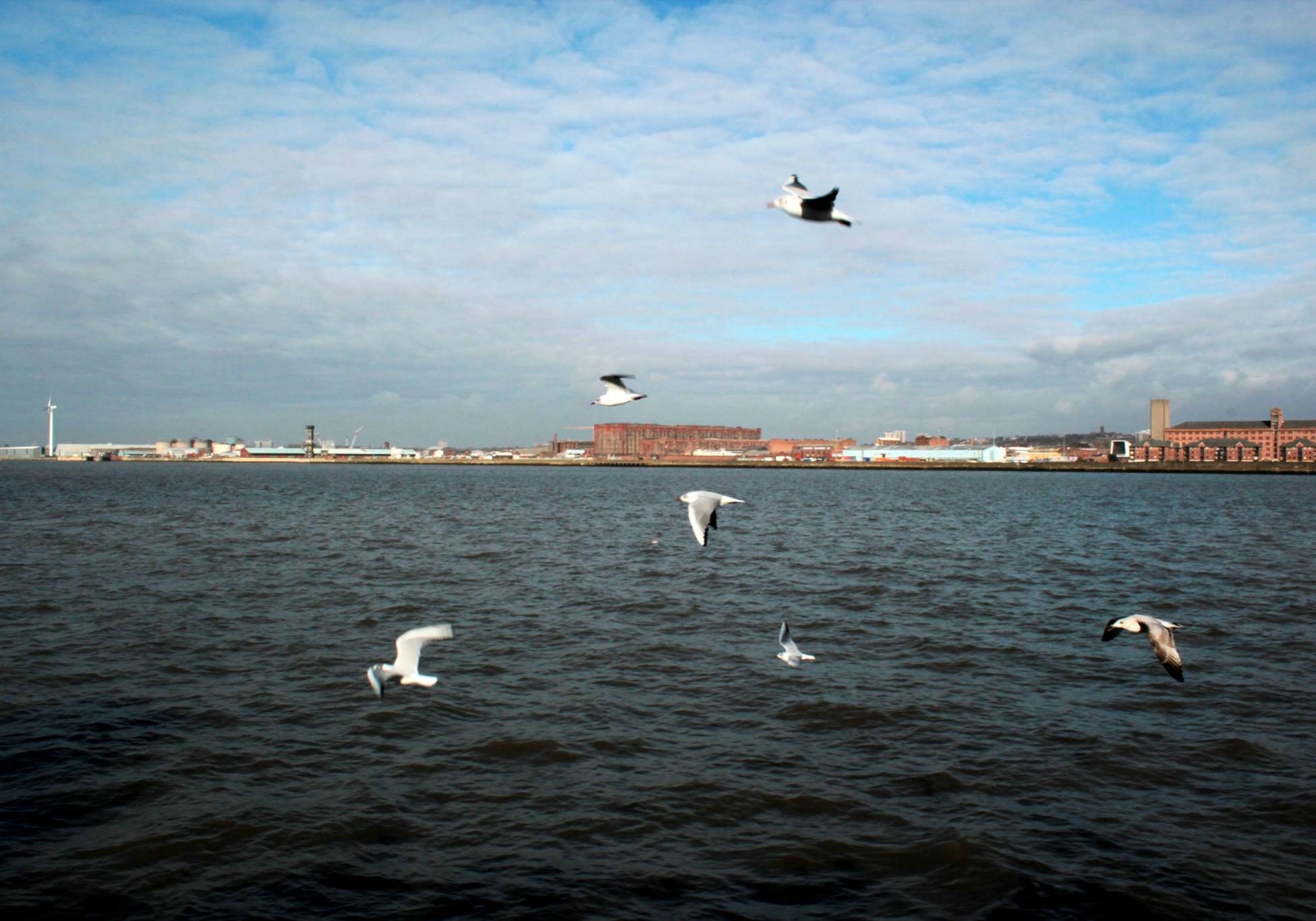 Second Step Bristol | A Leading Mental Health Charity