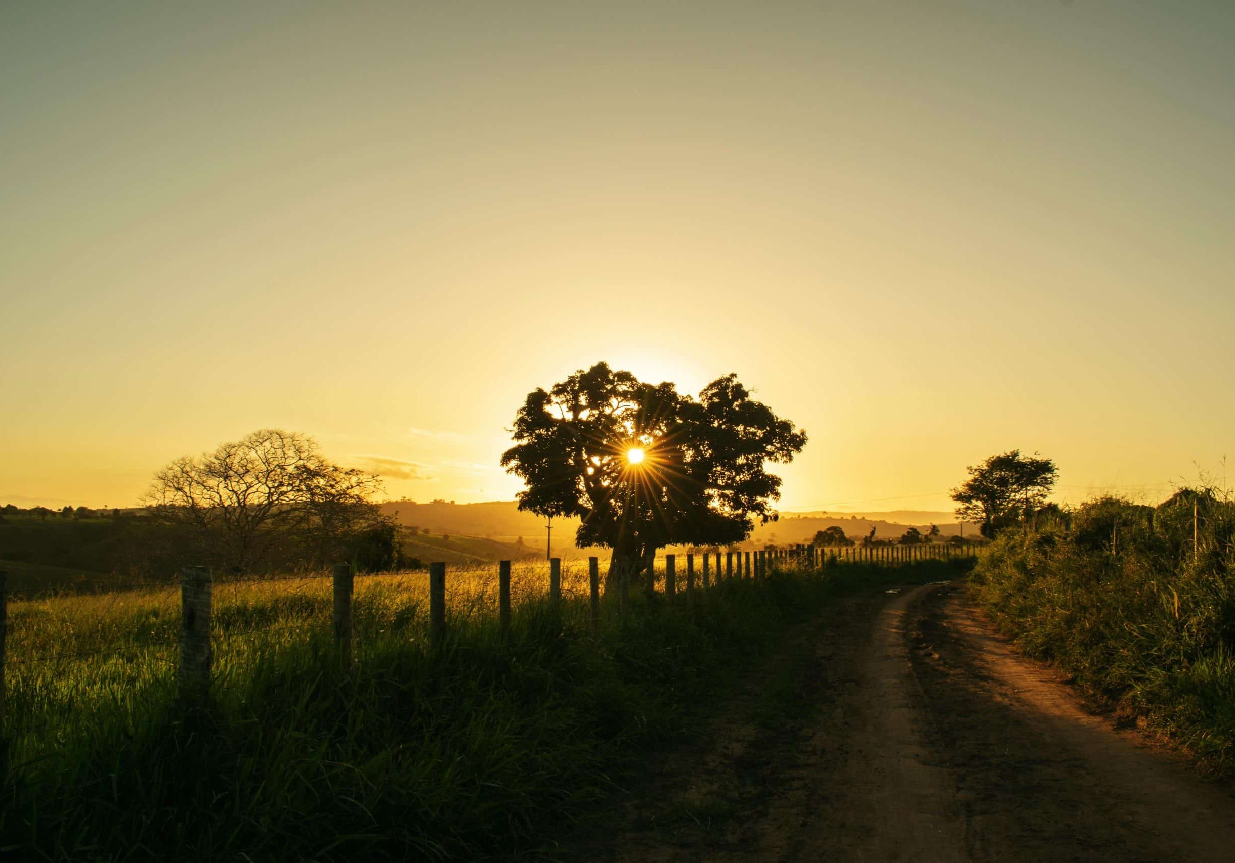 Second Step | A Leading Mental Health Charity in Bristol, Bath & Somerset